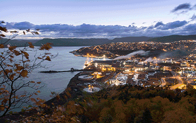Newfoundland Discovery